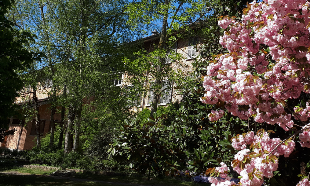 Home - Collegio Nuovo - Fondazione Sandra e Enea Mattei
